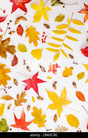 autumn background with natural elements Stock Photo - Alamy
