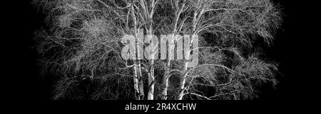 white thunder on black background Stock Photo - Alamy