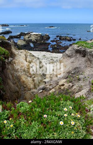 coast, Pacific Grove Marine Gardens, Monterey Bay National Marine ...