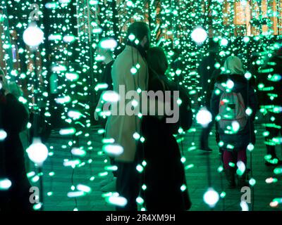 Immersive installation with hundreds of suspended colour changing ...