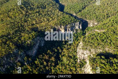 Carnarvon National Park located in the Southern Brigalow Belt bioregion ...