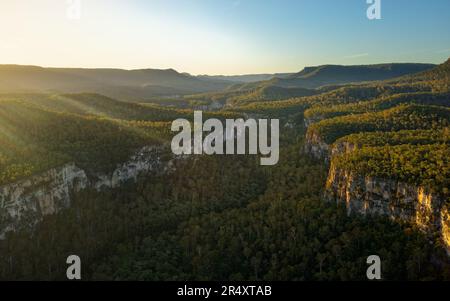 Carnarvon National Park located in the Southern Brigalow Belt bioregion ...