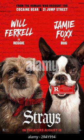 STRAYS, from left: Bug (voice: Jamie Foxx), Hunter (voice: Randall Park ...
