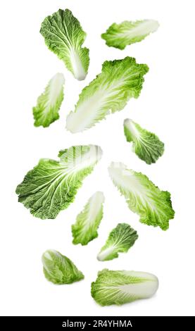 Falling chinese cabbage, isolated on white background, selective focus ...