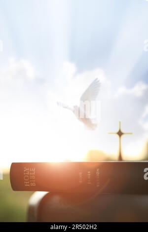 The white dove and the holy cross of Jesus Christ symbolize death and resurrection love Stock ...