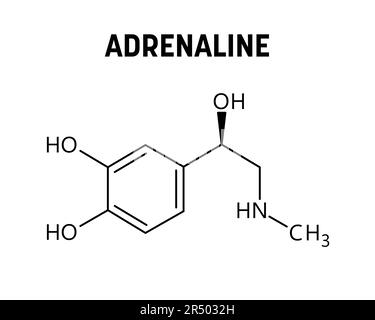 Adrenalin, Adrenaline, Epinephrine hormone structural chemical formula ...