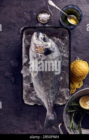 Dorade Royale Fish Stock Photo - Alamy