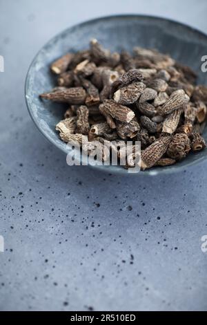 Morels (Morchella vulgaris), Edible morel, Grey morel Stock Photo - Alamy