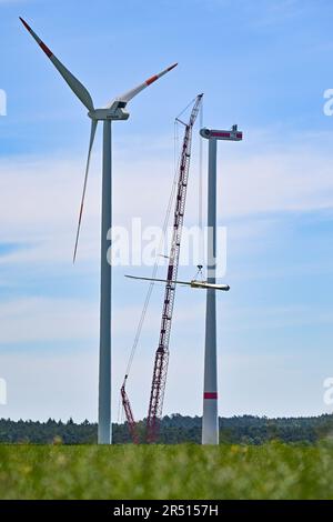 31 May 2023, Brandenburg, Jacobsdorf: The construction site for a new ...