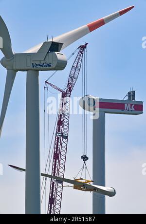 31 May 2023, Brandenburg, Jacobsdorf: The construction site for a new ...
