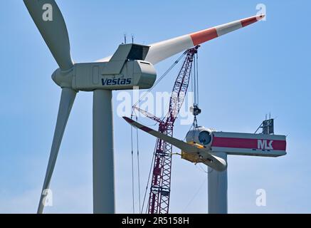 31 May 2023, Brandenburg, Jacobsdorf: The construction site for a new ...