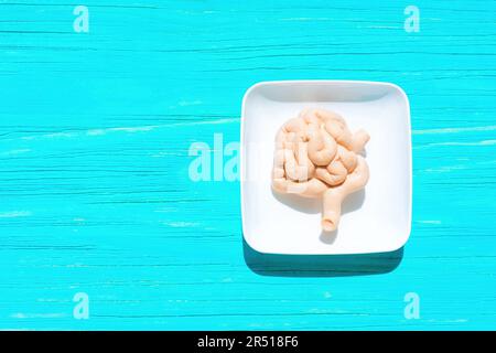 Toy replica of the human intestine placed on a white tray, set on a ...