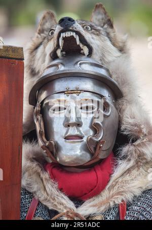 Centurion wearing military face mask. Roman military personal equipment ...