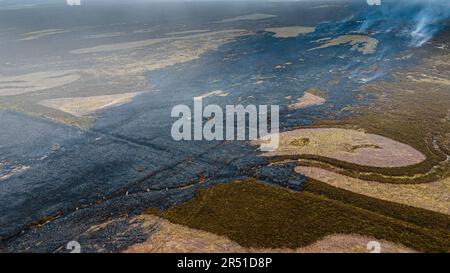 Sheffield, UK, 31 May 2023. Aftermath of the fire on Lady Cannings Plantation on the Sheffield ...