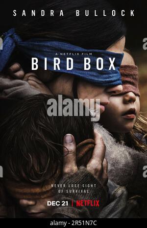 Bird Box film Sandra Bullock Stock Photo - Alamy