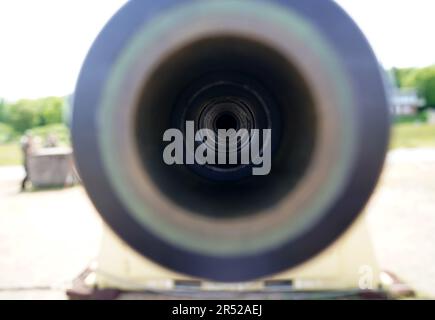 Todendorf, Germany. 31st May, 2023. A gun of the Mantis (Modular ...