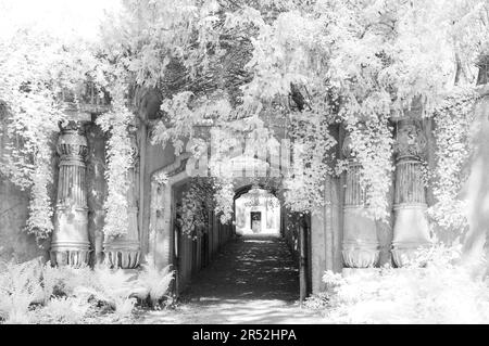 Egyptian Avenue in Highgate Cemetery West, London Stock Photo - Alamy