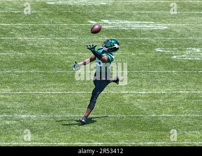 New York Jets safety Trey Dean (38) during an NFL football game against ...