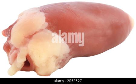 Chicken heart fresh organic and isolated Stock Photo - Alamy