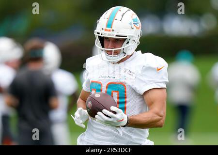 Miami Dolphins tight end Tanner Conner (80) walks to the line during a ...
