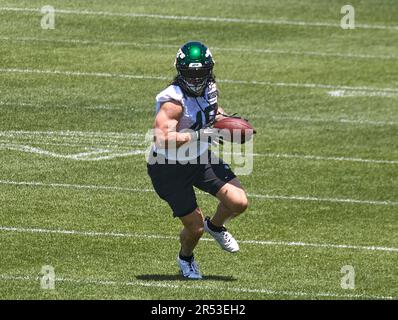 New York Jets fullback Nick Bawden (48) dives across the end zone for a ...