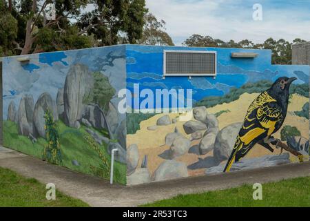 Regent Honeyeater Street Art by Eric Sesto, Tooborac, Victoria ...