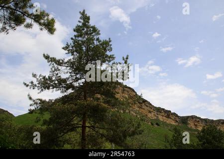Russian Federation. The Republic of Karachay-Cherkessia. Cathedral ...