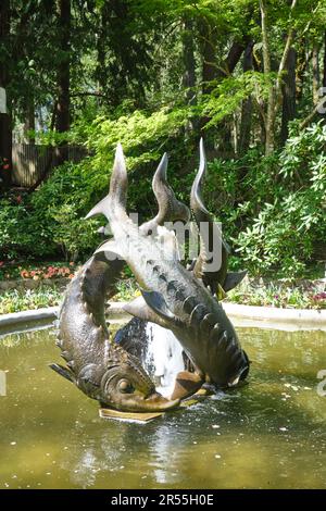 Sturgeon Fountain, the Butchart Gardens, Victoria, Vancouver Island ...