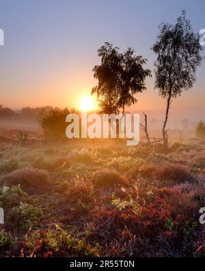 Midhurst, UK - August 26, 2022: Sunrise on Iping Common, South Downs ...