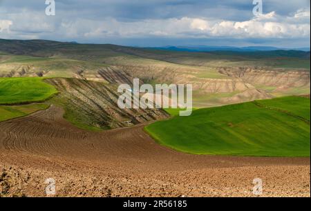 Farming on eroded soils and green crops and fallow lands in central ...