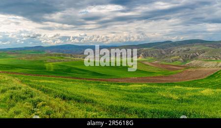 Farming on eroded soils and green crops and fallow lands in central ...