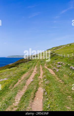 South West Coastal Path leading to Dancing Ledge from Anvil Point ...
