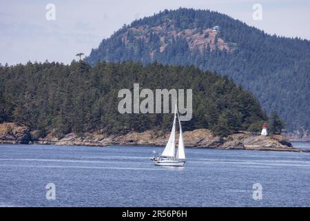 Sailboat in Canadian Landscape by the ocean and mountains Stock Photo ...
