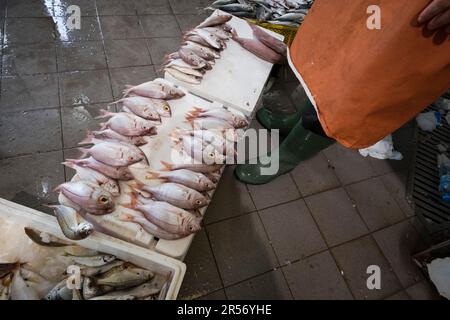 Morocco. Tangier. fish market Stock Photo - Alamy