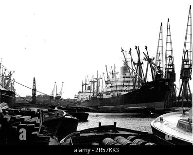 MVs Jalarashi & Falaba at Tilbury 1960s Stock Photo - Alamy