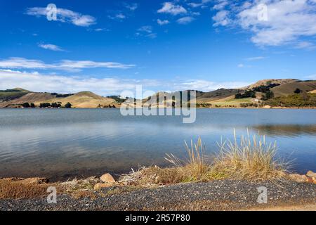 The Otago Peninsula near Dunedin in New Zealand Stock Photo - Alamy