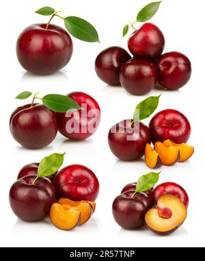 Detail red plum with plum on white background Stock Photo - Alamy