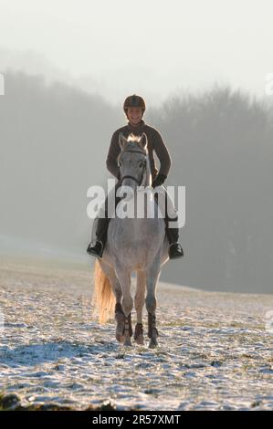 Male in helmet riding by horse at farm, trainer talking to woman in ...