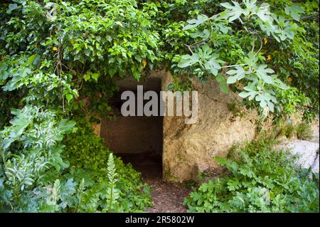 Necropolises, Anapo Gorge, tombs, Pantalica, Sicily, Italy Stock Photo ...