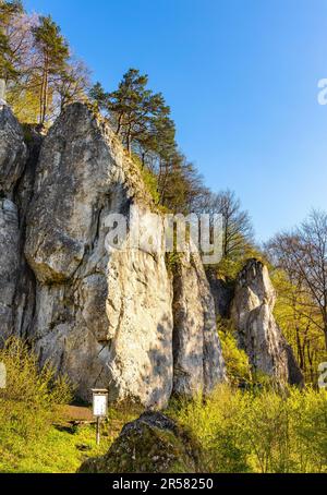 Labajowa and Lipna Sciana limestone rock and climbing wall in Bedkowska ...