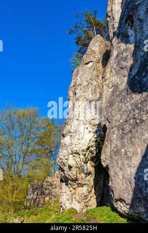 Labajowa and Lipna Sciana limestone rock and climbing wall in Bedkowska ...
