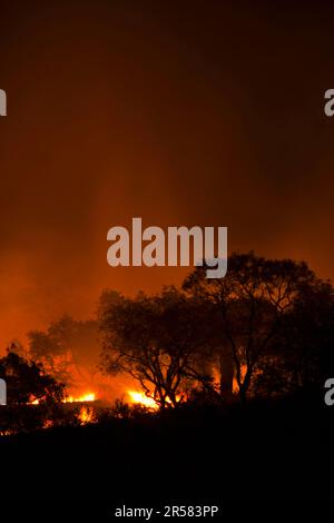 Bushfire, KwaZulu-Natal, South Africa, Fire Stock Photo - Alamy