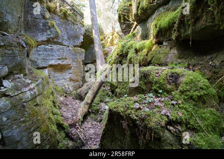 Moss growth on limestone cave in Pine Dock, Manitoba, Canada Stock ...