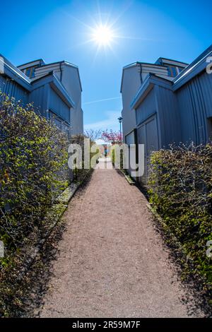A stone pathway between two white buildings, adorned with windows and a ...