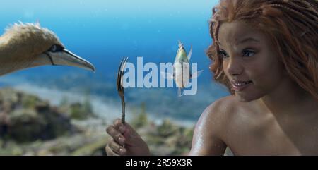 THE LITTLE MERMAID, Halle Bailey as Ariel, 2023. © Walt Disney Studios ...