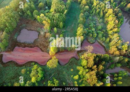 wetland area Vallei van de Grote Nete in morning mist, aerial view ...