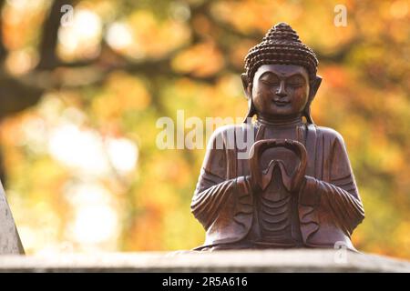 buddha statue under an autumn tree Stock Photo - Alamy