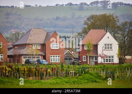 Redrow homes at Plas Ty Draw, Cardiff in Wales Stock Photo - Alamy