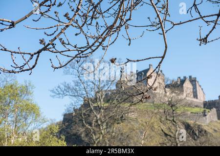 Edinburgh Castle behind the tree branches with green and yellow leaves ...