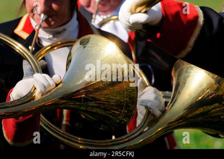 Hunting Horn, Hunting Horn Blower, Wind Instrument Stock Photo - Alamy